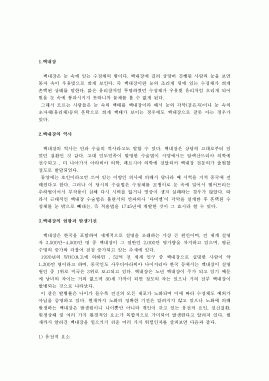 백내장에 관하여 -1페이지