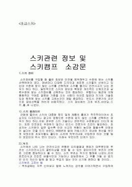 스키관련 정보 및 스키캠프 소감문-1페이지