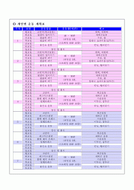 체력관리와 건강(개인별운동계획표)-1페이지