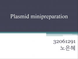 Plasmid minipreparation-1페이지