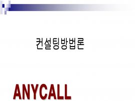 Anycall-컨설팅방법론-1페이지