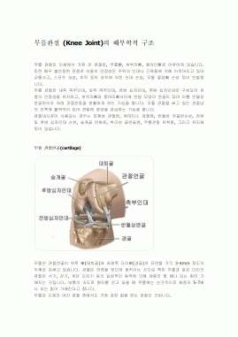 [무릎관절 (Knee Joint)의 해부학적 구조]-1페이지