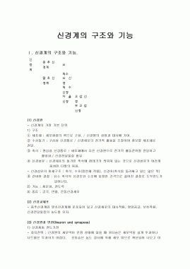 신경계의 구조-1페이지