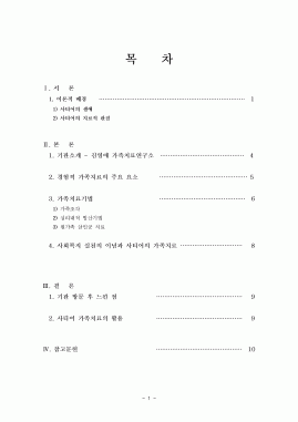 사티어의 가족치료(기관방문)-1페이지