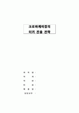 크로바케미칼(중소기업)의 터키 진출 전략-1페이지