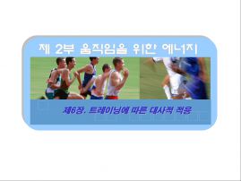 트레이닝에따른 대사적적응-1페이지