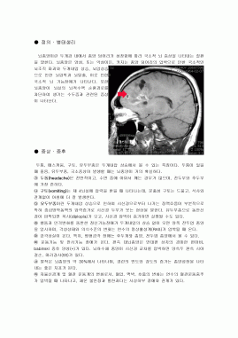 뇌종양 문헌고찰-1페이지