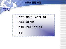 [스포츠심리학] 스포츠관중효과-1페이지