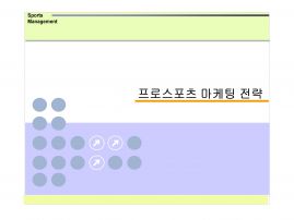 [모든학과] 프로스포츠마케팅전략-1페이지