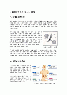 [분석/조사] [환경호르몬]환경호르몬 피해의 원인과 발생배경, 대표적인 환경호르몬 유발 물질과 종류 및 위험성, 환경호르몬 피해사례와 대책-1페이지