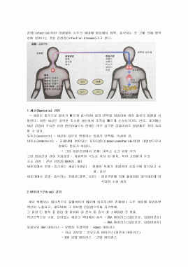 감염에 관한 조사자료-1페이지