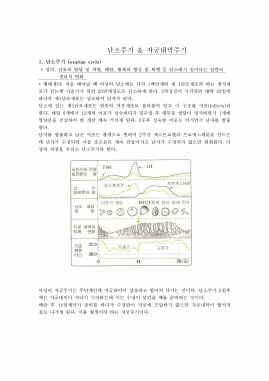 난소주기&자궁내막주기-1페이지