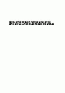 인간행동의 과정요약과 자신의 습관을 행동과정에 의해 요약-1페이지