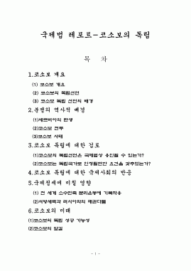 코소보의 독립-1페이지