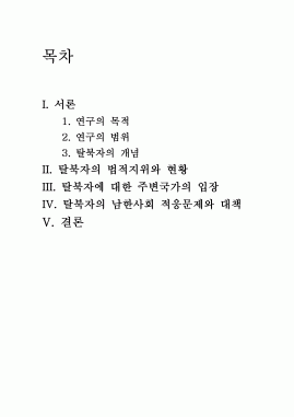 탈북자의 법적지위와 실태-1페이지