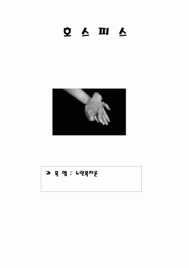 노인복지론 호스피스 간호-1페이지