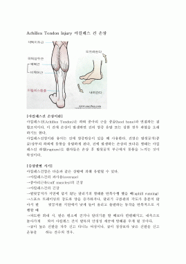 Achilles Tendon Injury 정형외과 호발질환 아킬레스건 손상-1페이지