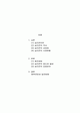 실리콘리포트-1페이지