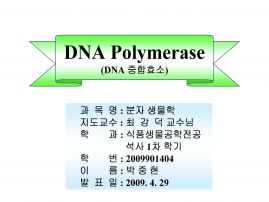 DNA Polymerase (DNA 중합효소)-1페이지