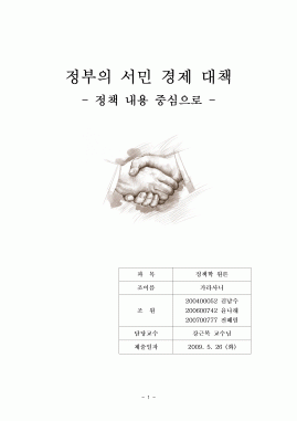 정부의 서민 경제 대책-1페이지