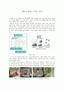 세탁에 영향을 미치는 인자 -1페이지