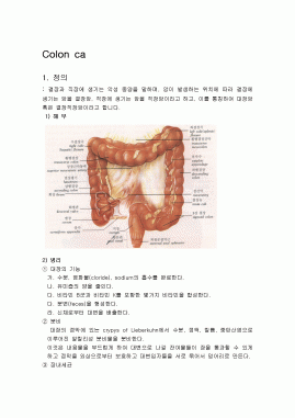 대장암[Colon ca]의 진단과 치료-1페이지