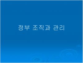 정부 조직과 관리에 관하여 논하라-1페이지