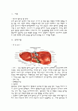 간의 문헐고찰과 간경과 case study-1페이지