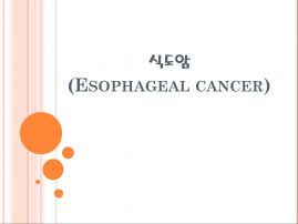 식도암(Esophageal cancer)-1페이지