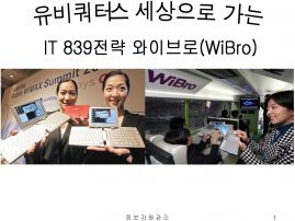 유비쿼터스 세상으로 가는 IT 839전략 와이브로(WiBro) -1페이지