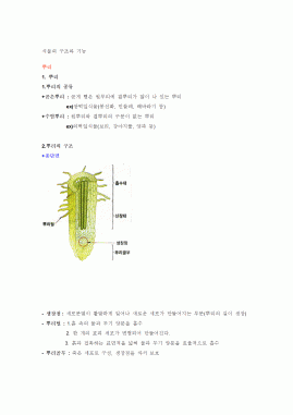 식물의 구조와 기능 -1페이지