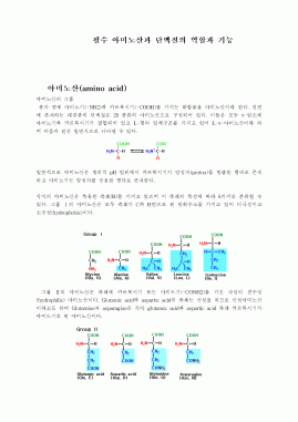 필수 아미노산과 단백질의 역할과 기능-1페이지