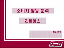 리바이스의 소비자행동분석 PPT-1페이지