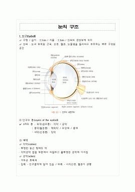 눈의 구조와 기능 - 노화와 관련된 변화-1페이지