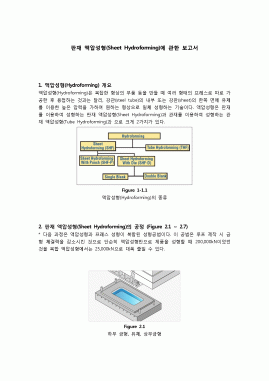 판재액압성형(Hydroforming)에 관한 보고서-1페이지