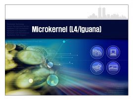 마이크로커널 (Microkernel) - L4/Iguana-1페이지