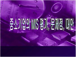 중소기업 MIS 평가 문제점 대안-1페이지