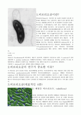 비브리오패혈증 - 비브리오균종류, 증상-1페이지