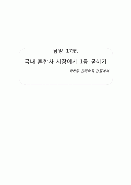 마케팅 남양유업의 17차 -1페이지