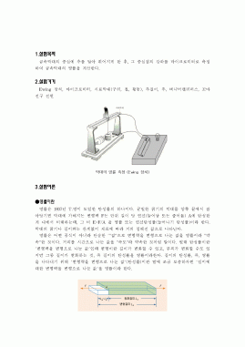 막대의 영률 측정 예비-1페이지