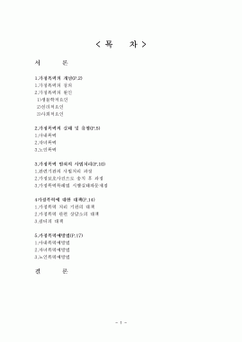 가정폭력의 실태와 대응방안에 대한 연구.-1페이지