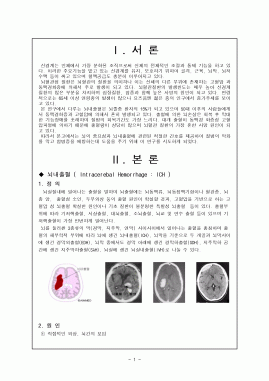 뇌내출혈 문헌고찰-1페이지