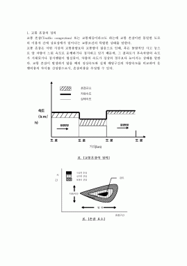 교통 혼잡의 정의-1페이지