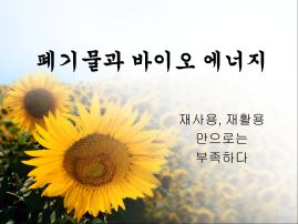 바이오 에너지 바이오매스-1페이지