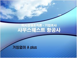 사우스웨스트 항공사의 성공사례-1페이지