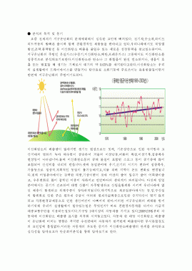 단순회귀분석 - 자동차증가에 따른 이산화탄소배출량분석-1페이지