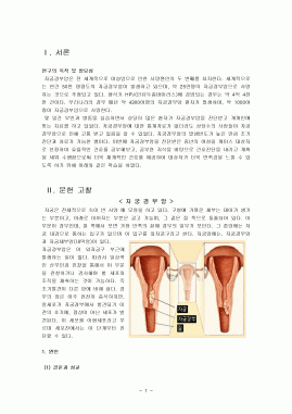 [모성간호, 여성건강간호학] 자궁경부암(cevix cancer) 케이스 스터디-1페이지