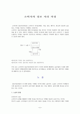 소비자 정보처리 과정에 따른 광고 마케팅 전략과 사례조사-1페이지