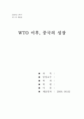 WTO 이후 중국의 성장-1페이지