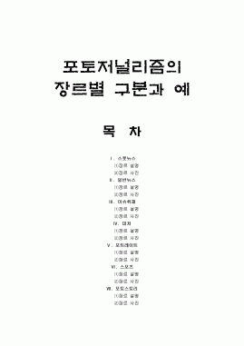 포토저널리즘의 장르와 예-1페이지